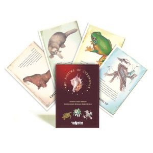 card sets Archives - Innovative Resources